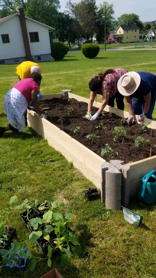 Penn State Master Gardeners holding free Seed to Supper program in Fayette, Greene - Observer ...